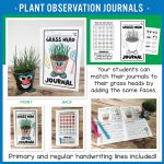 Grass Head Templates – Printable Spring Science Project for Kids