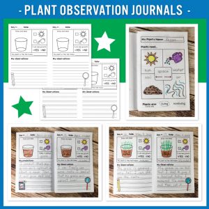 Grass Head Templates – Printable Spring Science Project for Kids