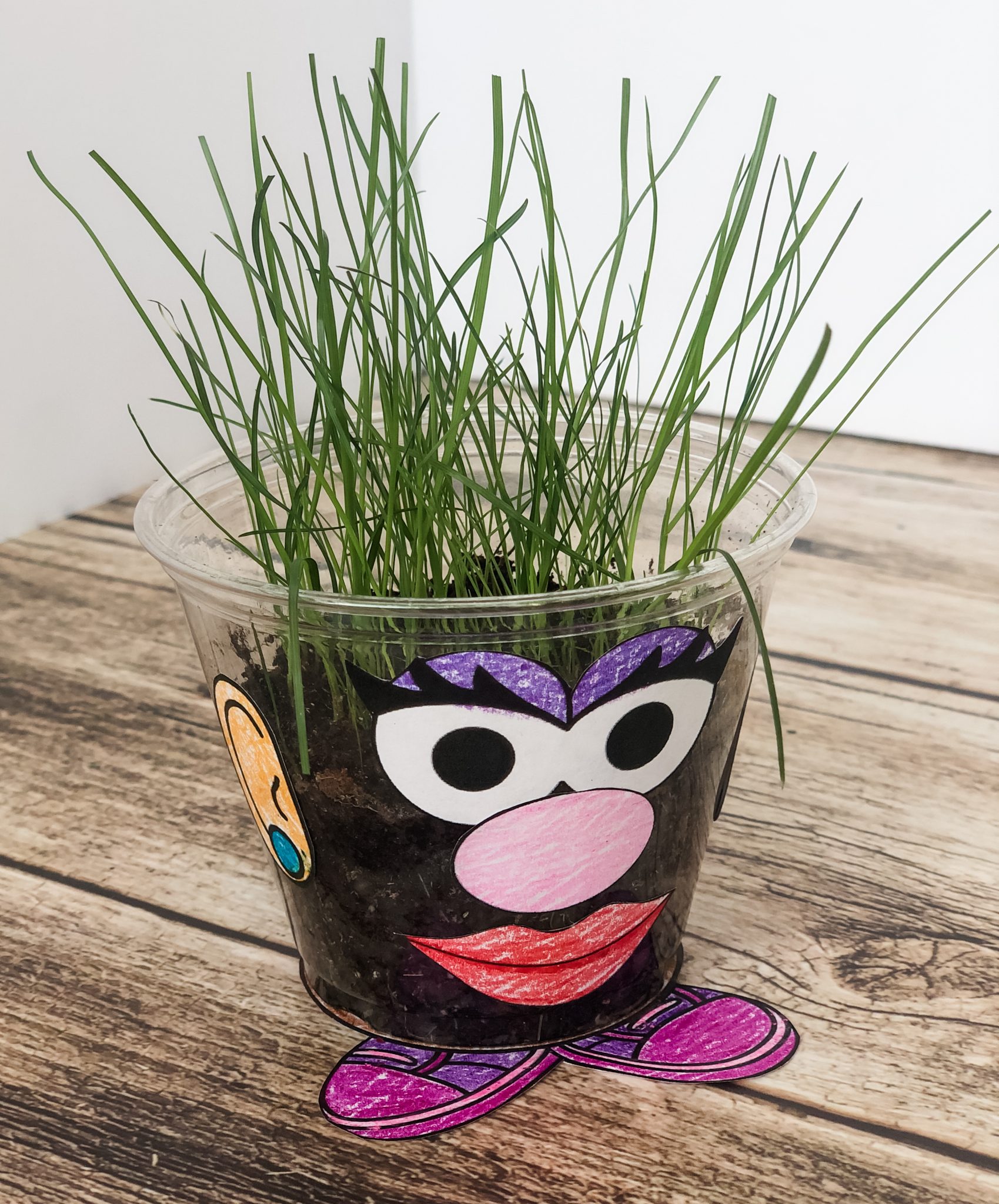 Grass Head Templates – Printable Spring Science Project for Kids