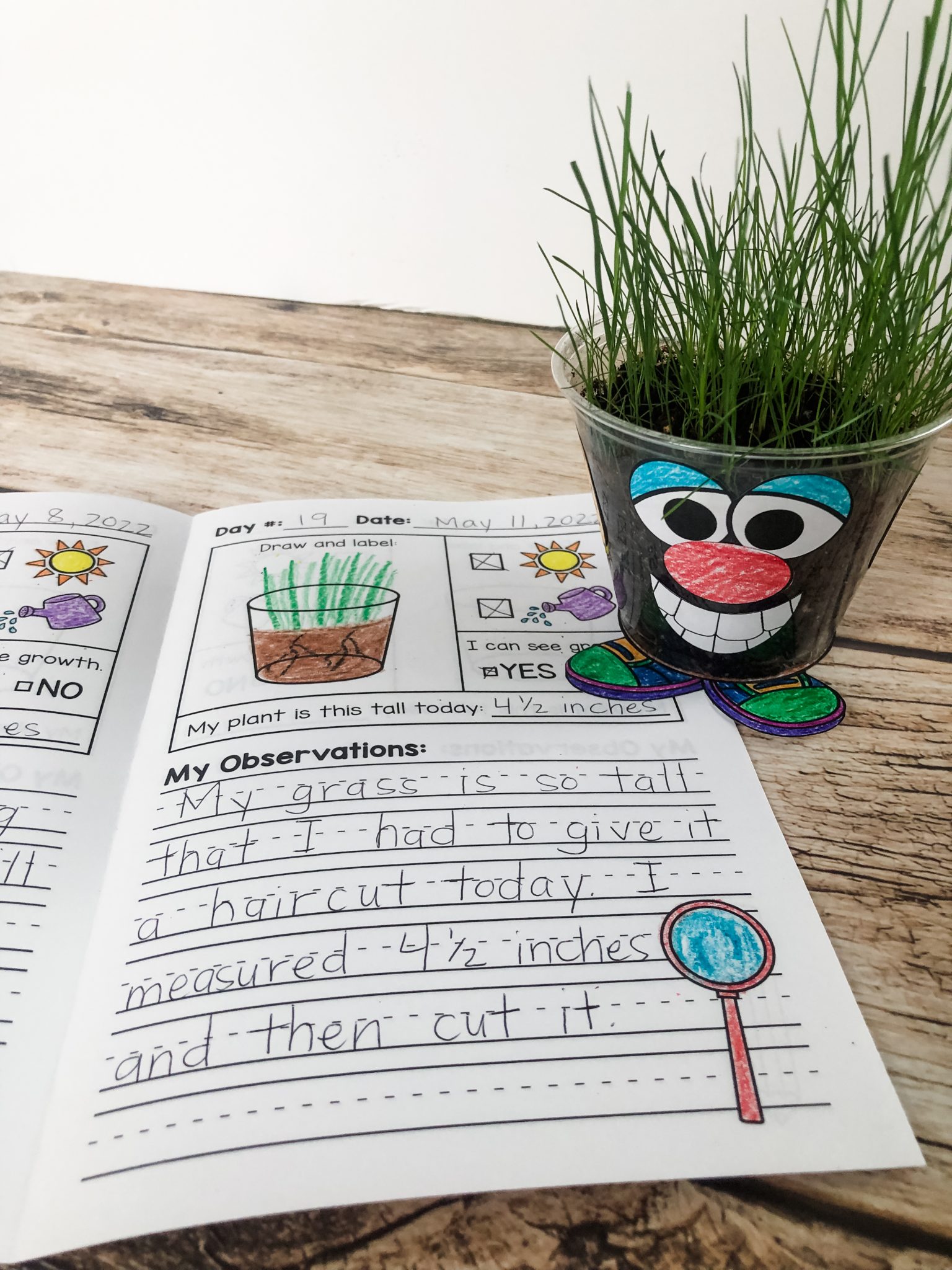Grass Head Templates – Printable Spring Science Project for Kids